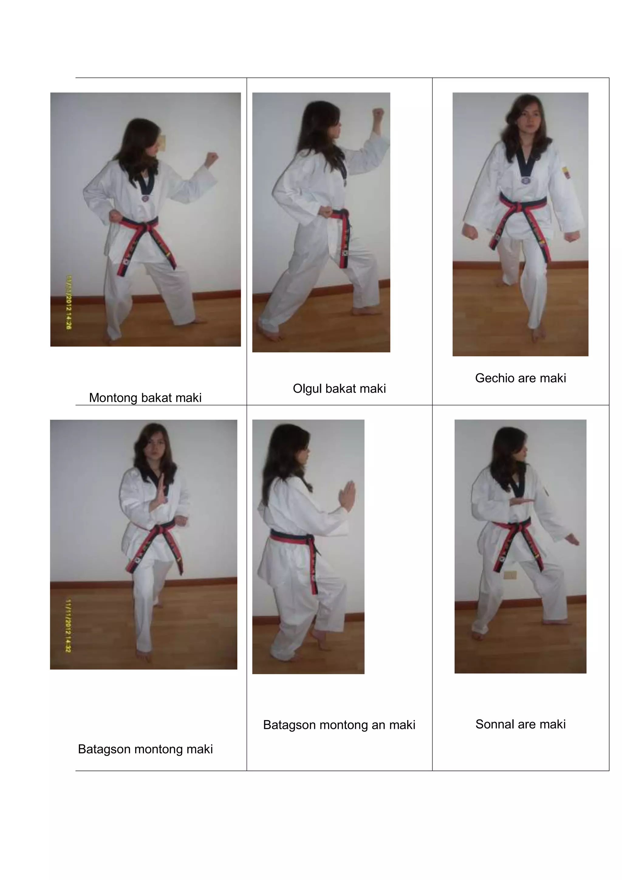 Trabajo tecnicas taekwondo | PDF