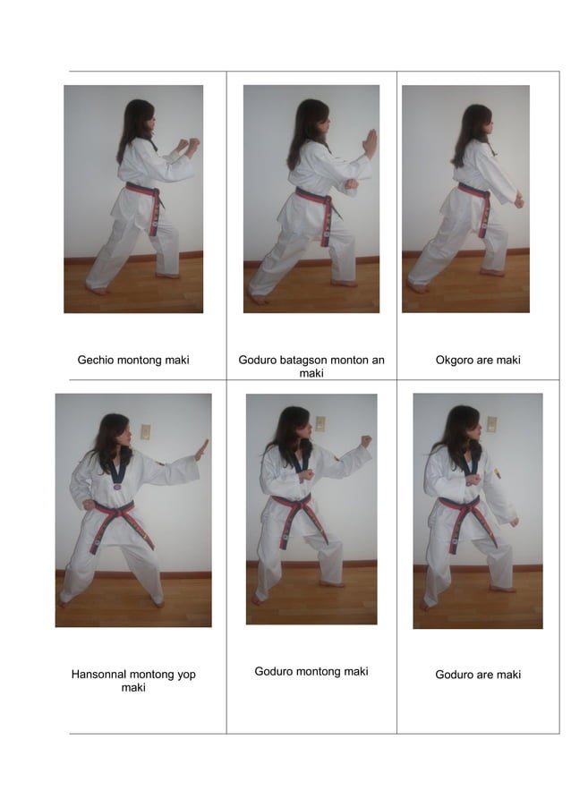 Trabajo tecnicas taekwondo | PDF