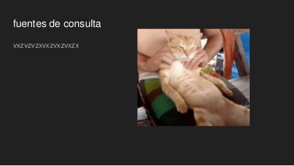 trabajo terminado.pptx