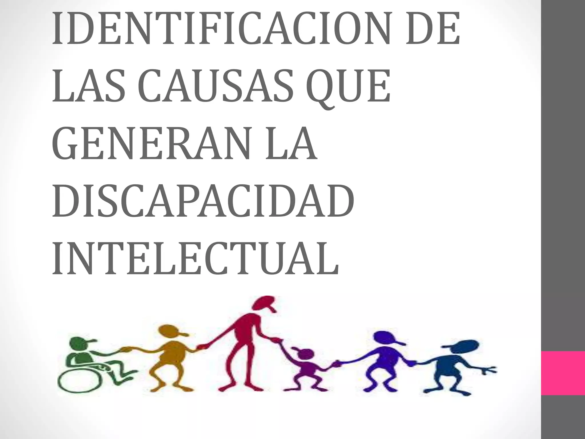 causas que generan discapacidad | PPT