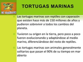 Trabajo tortugas | PPTX