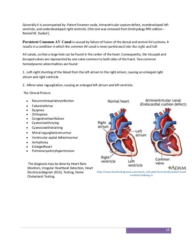 Development of the Heart