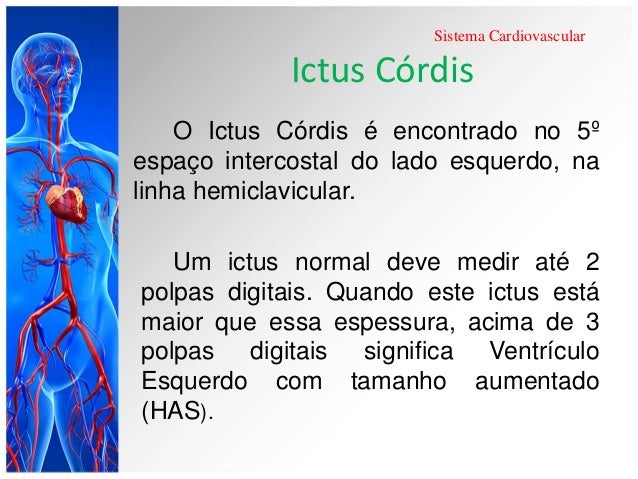 Trabalho.sae.completo