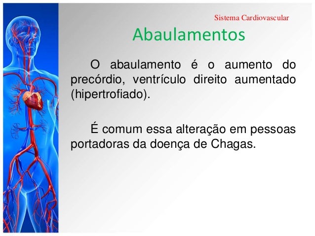 Trabalho.sae.completo