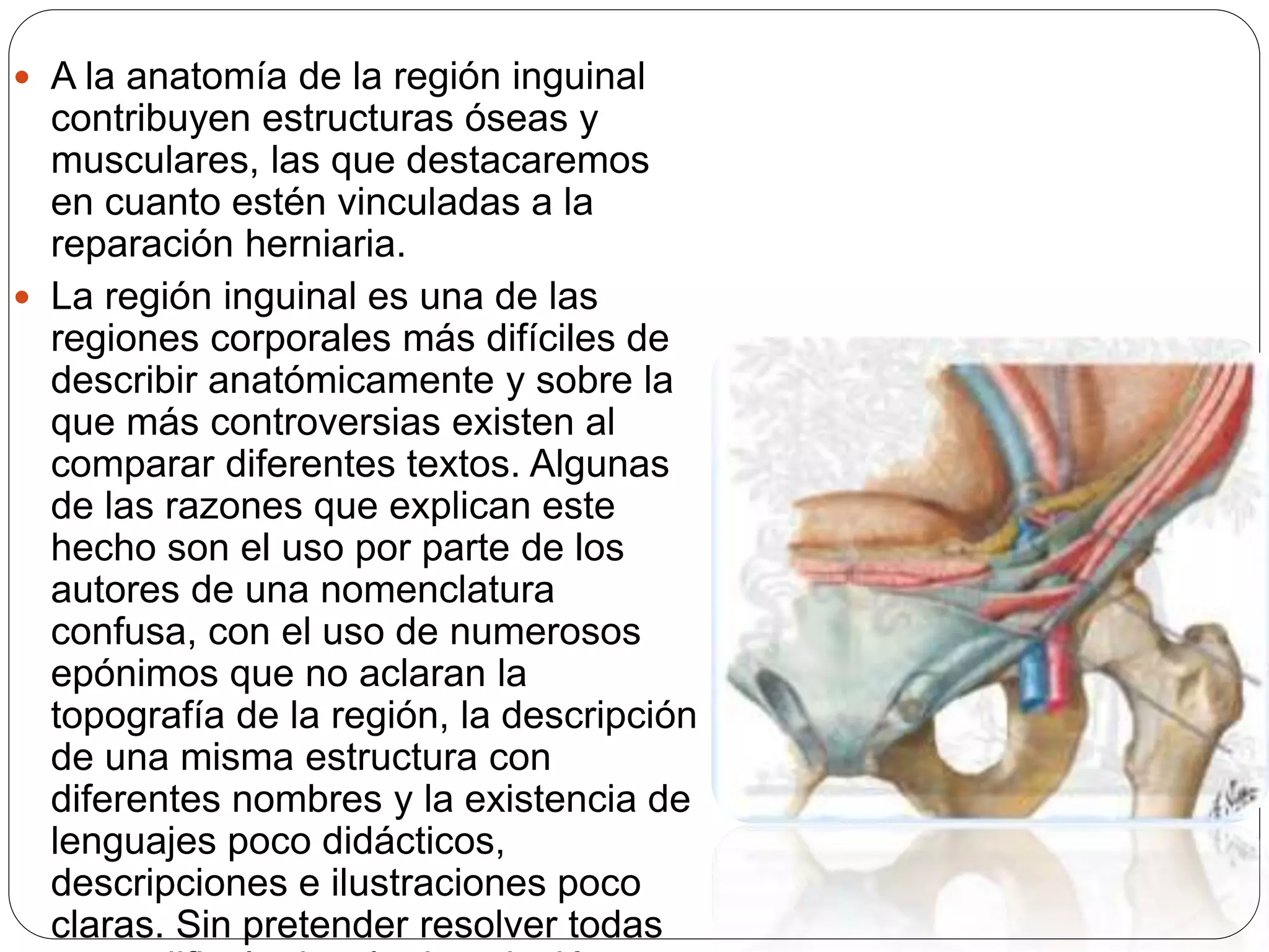 TRABALHO ANATOMIA INGUINAL.pptx