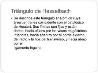 TRABALHO ANATOMIA INGUINAL.pptx