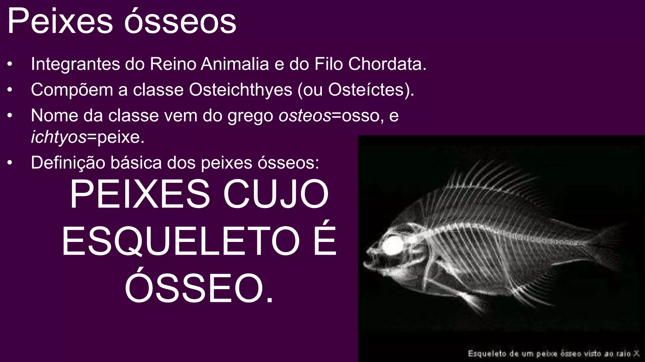 Trabalho biologia peixes ósseos | PPTX