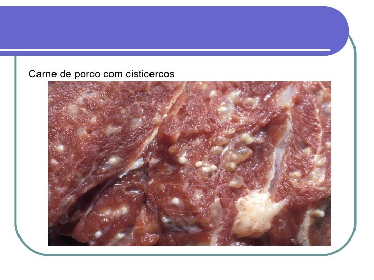 Trabalho Carne Suina E Javali