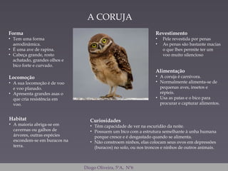 trabalho ciencias - caracteristicas da coruja | PPTX
