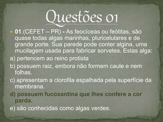 Trabalho de biologia talófitas | PPTX