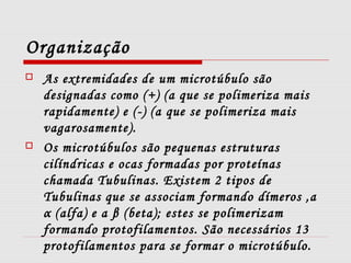 Trabalho de biologia microtubulos nadyllo | PPT