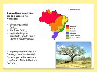 Nordeste Brasileiro | PPT