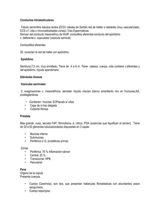 Informe Final Histologia II | PDF