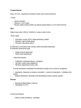 Informe Final Histologia II | PDF