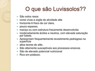 luvissolos Pedologia | PPTX
