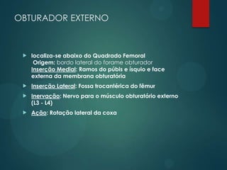 Trabalho musculos posteriores e abdutores da perna | PPTX
