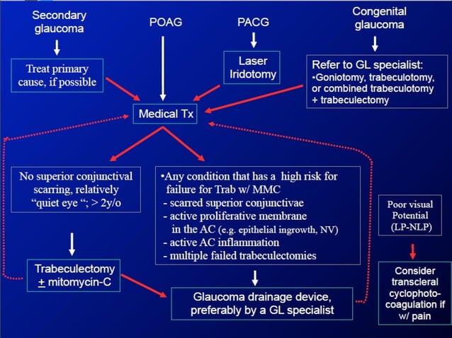 Glaucoma Filtration Surgery Study | PPT | Eye and Vision Conditions ...