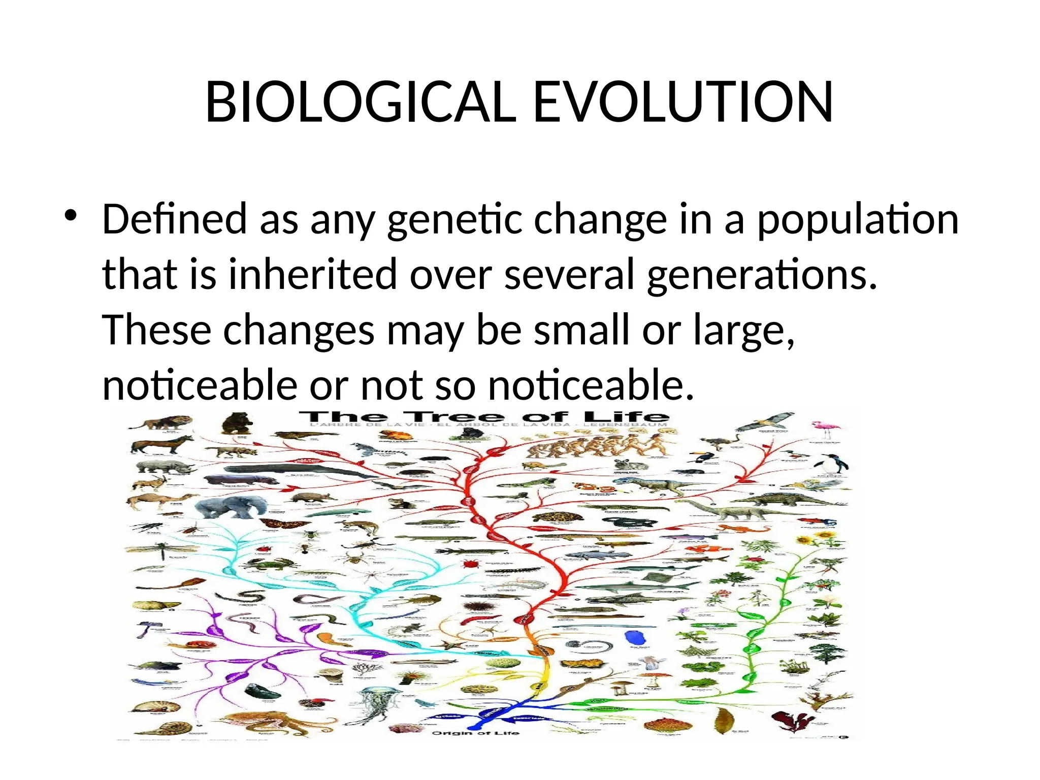Trace-the-Biological-and-Cultural-Evolution-of-early.pptx