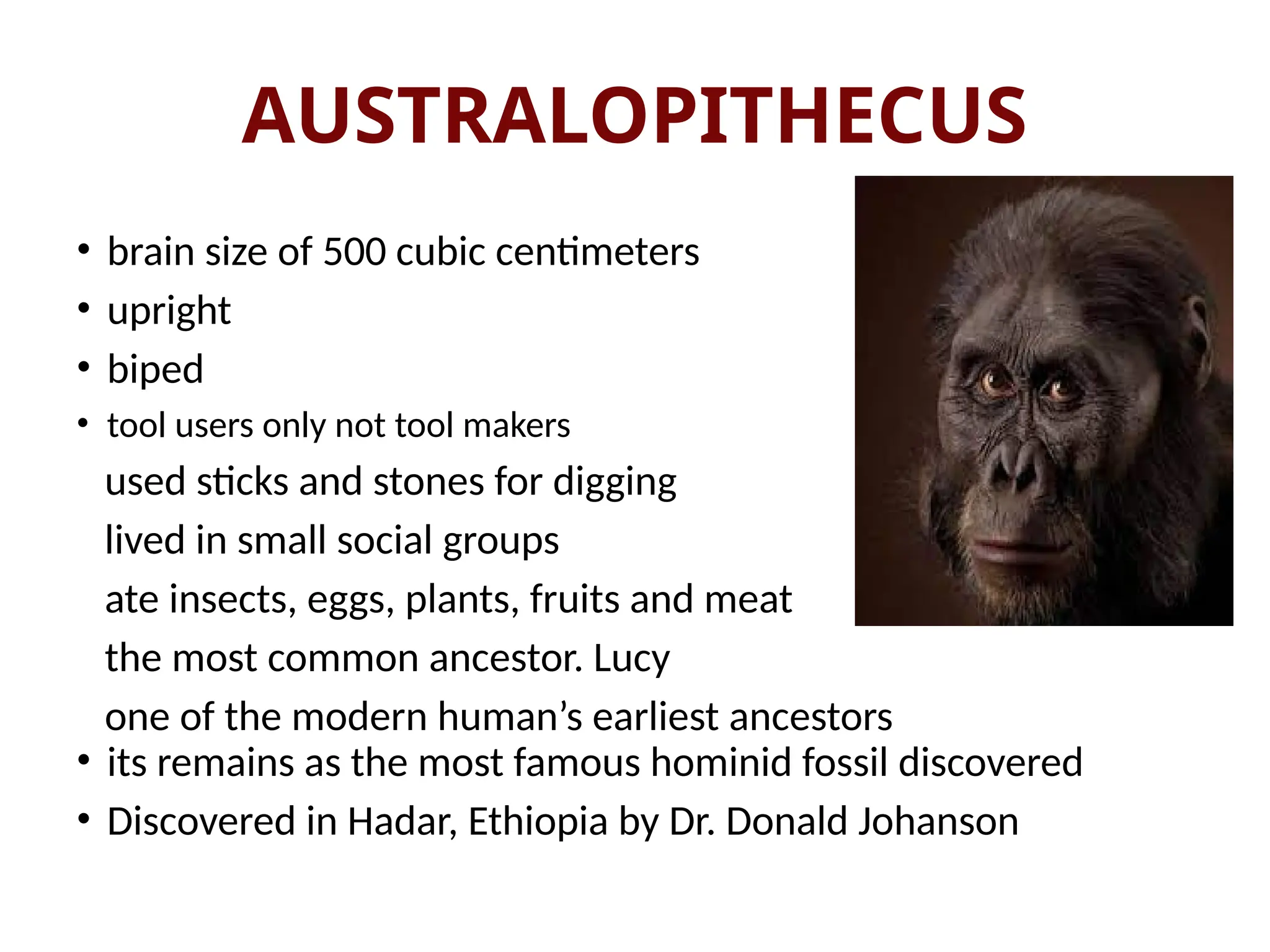 Trace-the-Biological-and-Cultural-Evolution-of-early.pptx | Geology ...