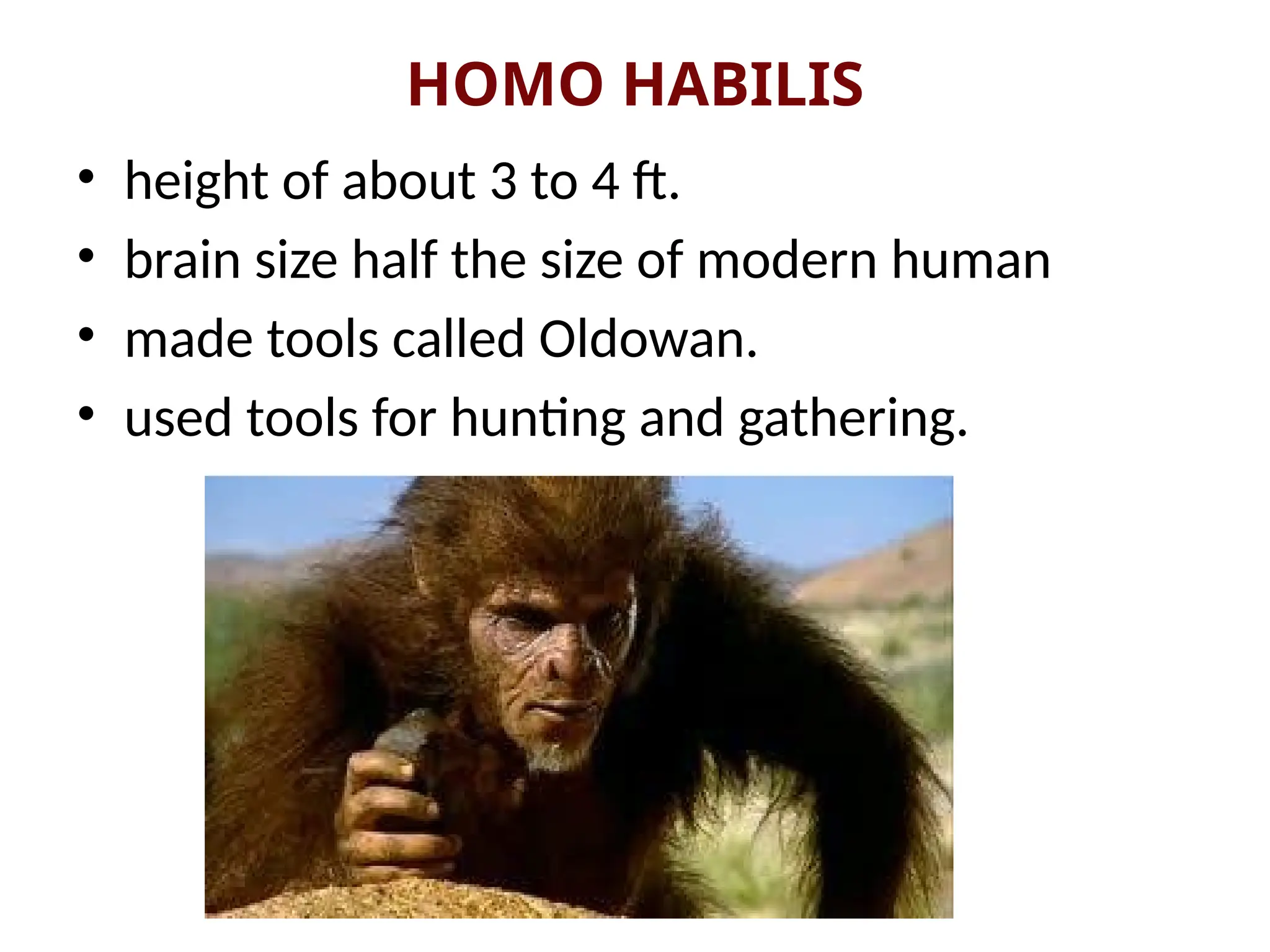 Trace-the-Biological-and-Cultural-Evolution-of-early.pptx