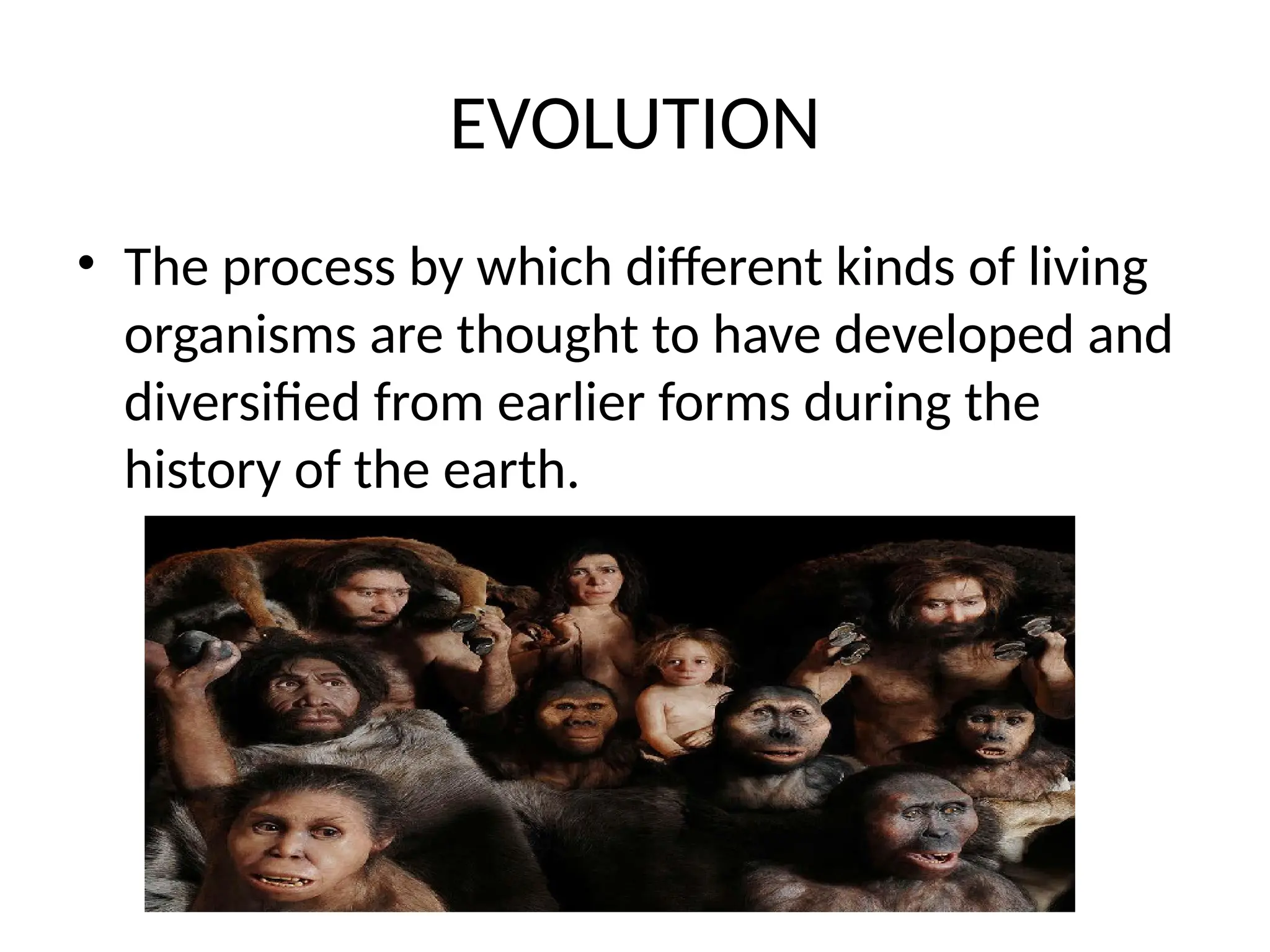 Trace-the-Biological-and-Cultural-Evolution-of-early.pptx