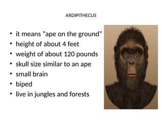 Trace-the-Biological-and-Cultural-Evolution-of-early.pptx