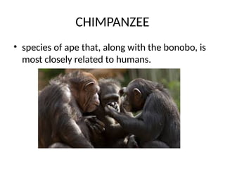 Trace-the-Biological-and-Cultural-Evolution-of-early.pptx
