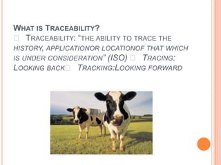 Traceability of meat and meat product | PPTX