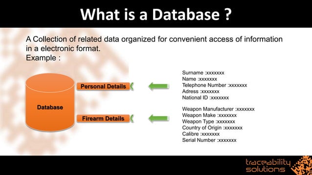 Firearms Management System | PDF | Databases | Computer Software and ...