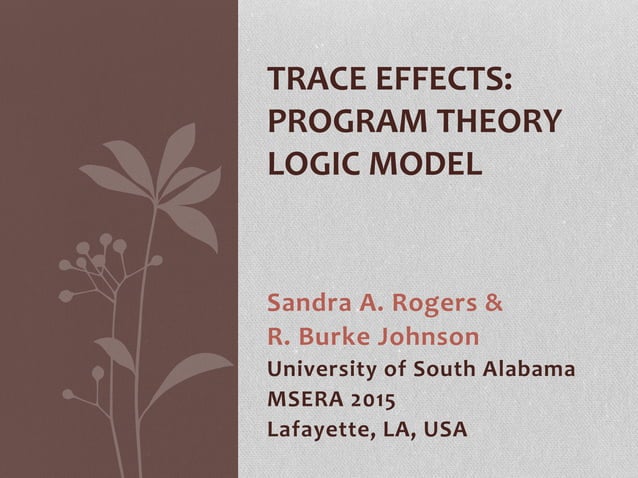Trace Effects: Program Theory Logic Model | PPTX