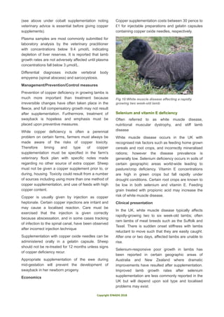 Trace element deficiencies in sheep | PDF