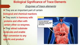 Trace elements and dental health | PPTX