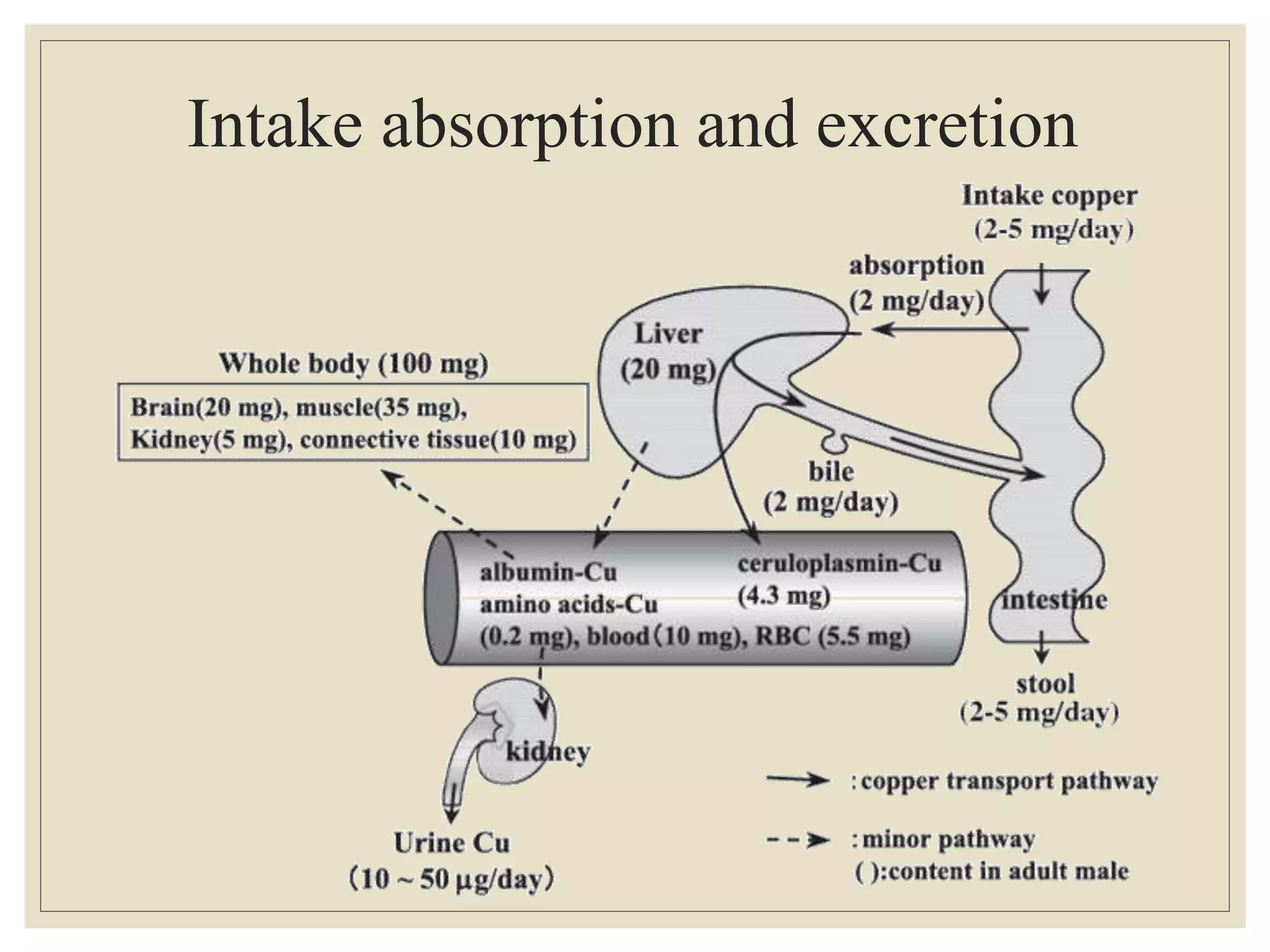 Trace elements minerals | PPTX
