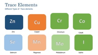 Essential Trace elements and Iron.pptx