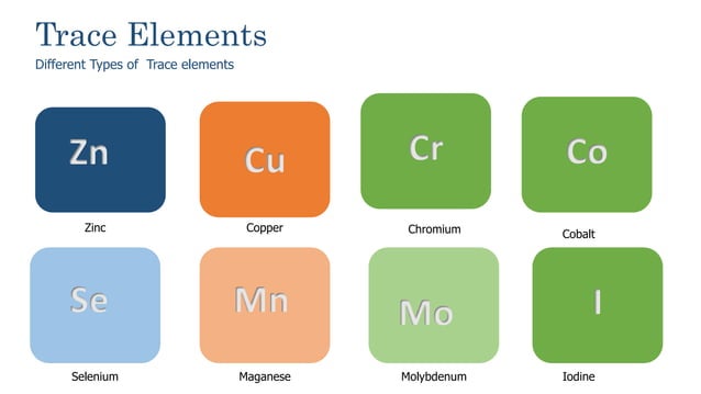 Essential Trace elements and Iron.pptx