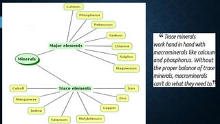 Trace elements ppt | PPTX