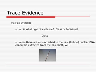 Trace Evidence.ppt