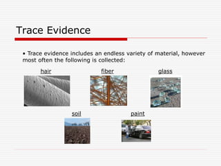 Trace Evidence.ppt