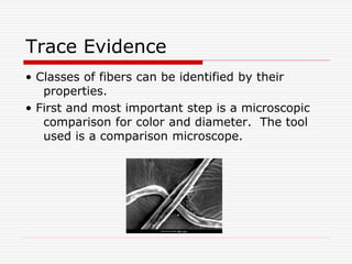 Trace Evidence.ppt