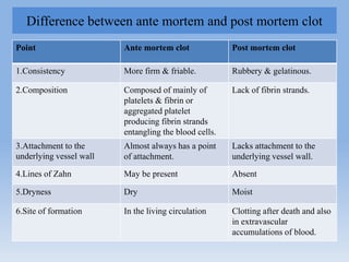 Trace evidence blood group