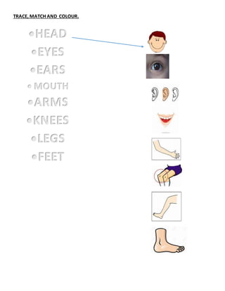 Trace match and colour | DOCX