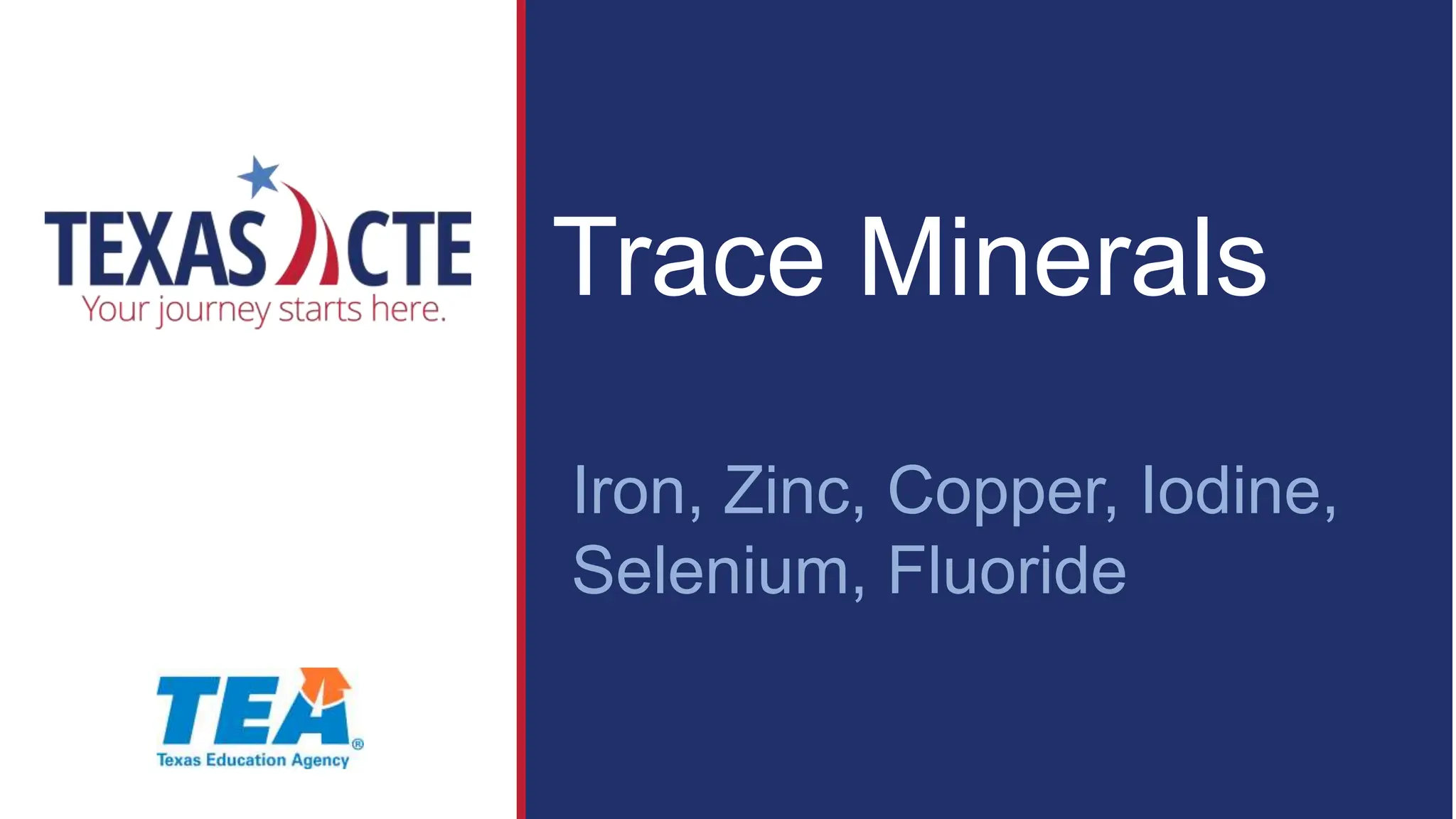 Trace Minerals and elements for human body | PPTX