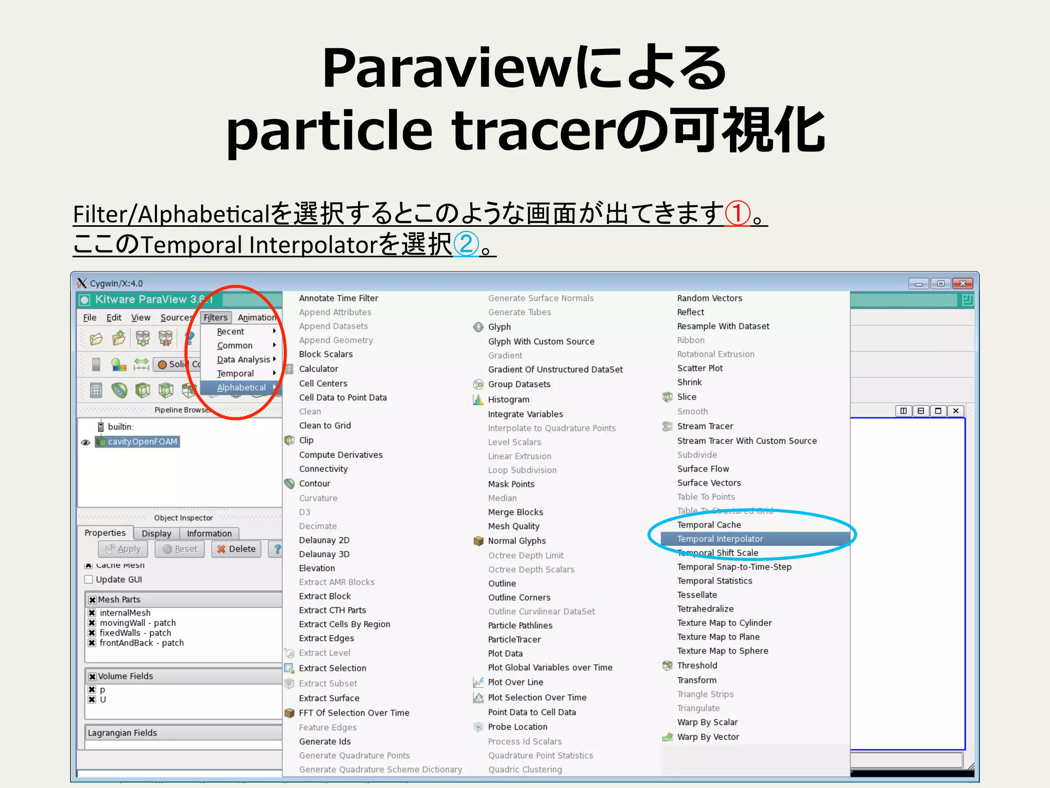 ParaviewでのParticle Tracerを用いた可視化 | PDF