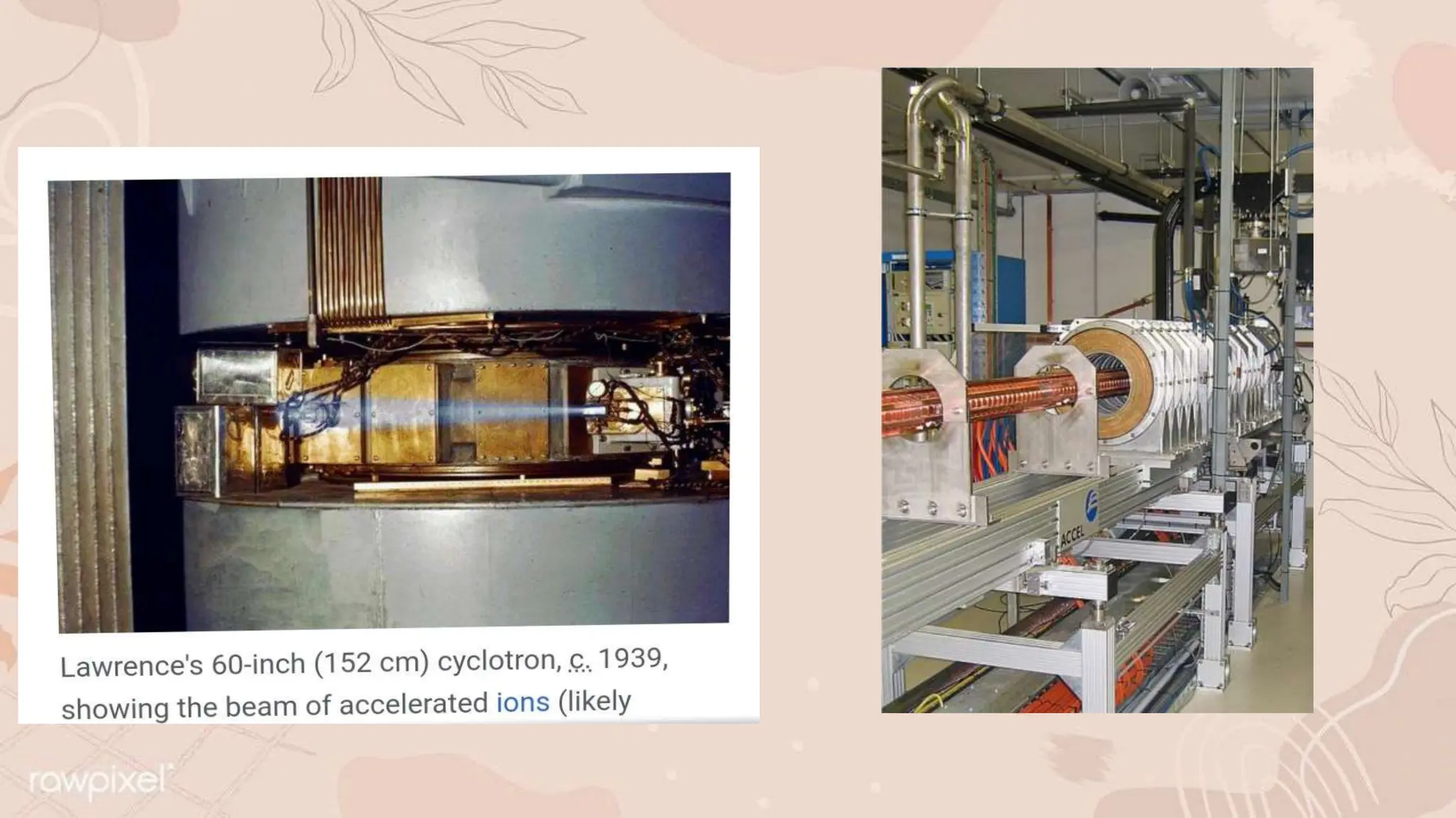Principle, uses and application of tracers in biology. MSc Botany | PPTX