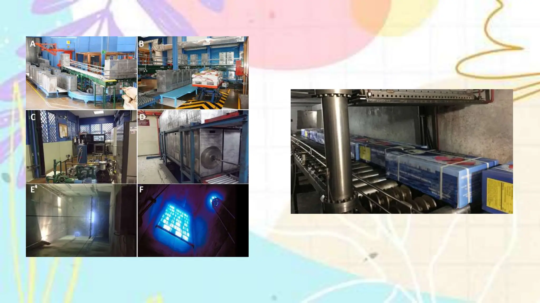 Principle, uses and application of tracers in biology. MSc Botany | PPT