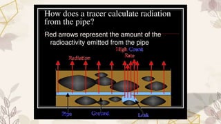 Principle, uses and application of tracers in biology. MSc Botany | PPTX