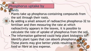 Principle, uses and application of tracers in biology. MSc Botany | PPTX