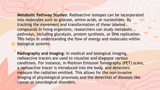 Principle, uses and application of tracers in biology. MSc Botany | PPTX
