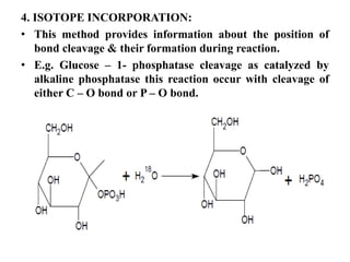 Tracers technique and radioisotopes in the investigation of biogenetic ...
