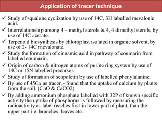 Tracers technique and radioisotopes in the investigation of biogenetic ...